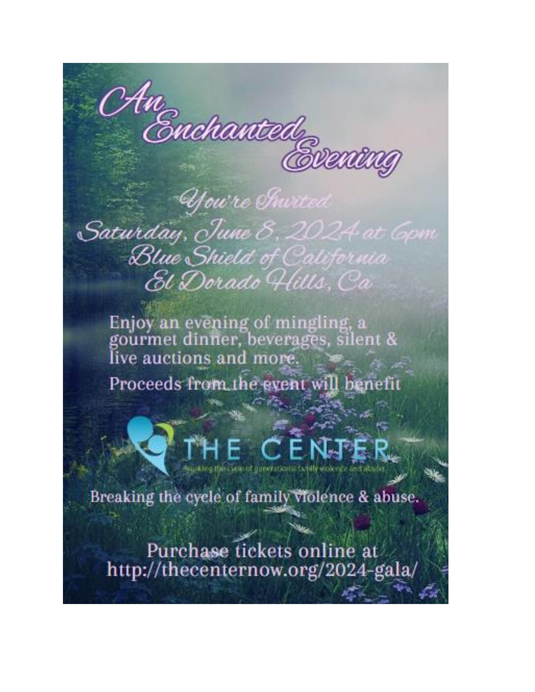 AN ENCHANTED EVENING GALA - HPSJ/MVHP